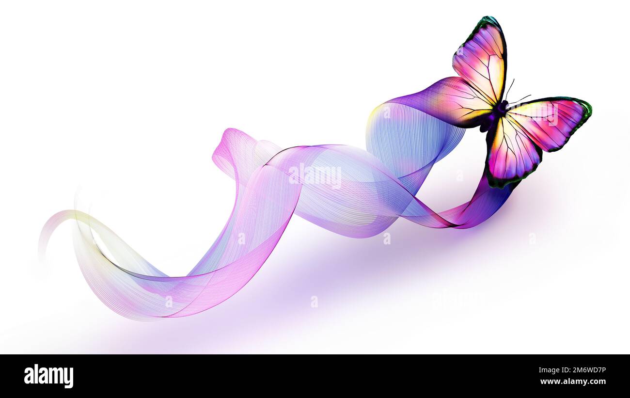 Design butterfly hi-res stock photography and images - Alamy