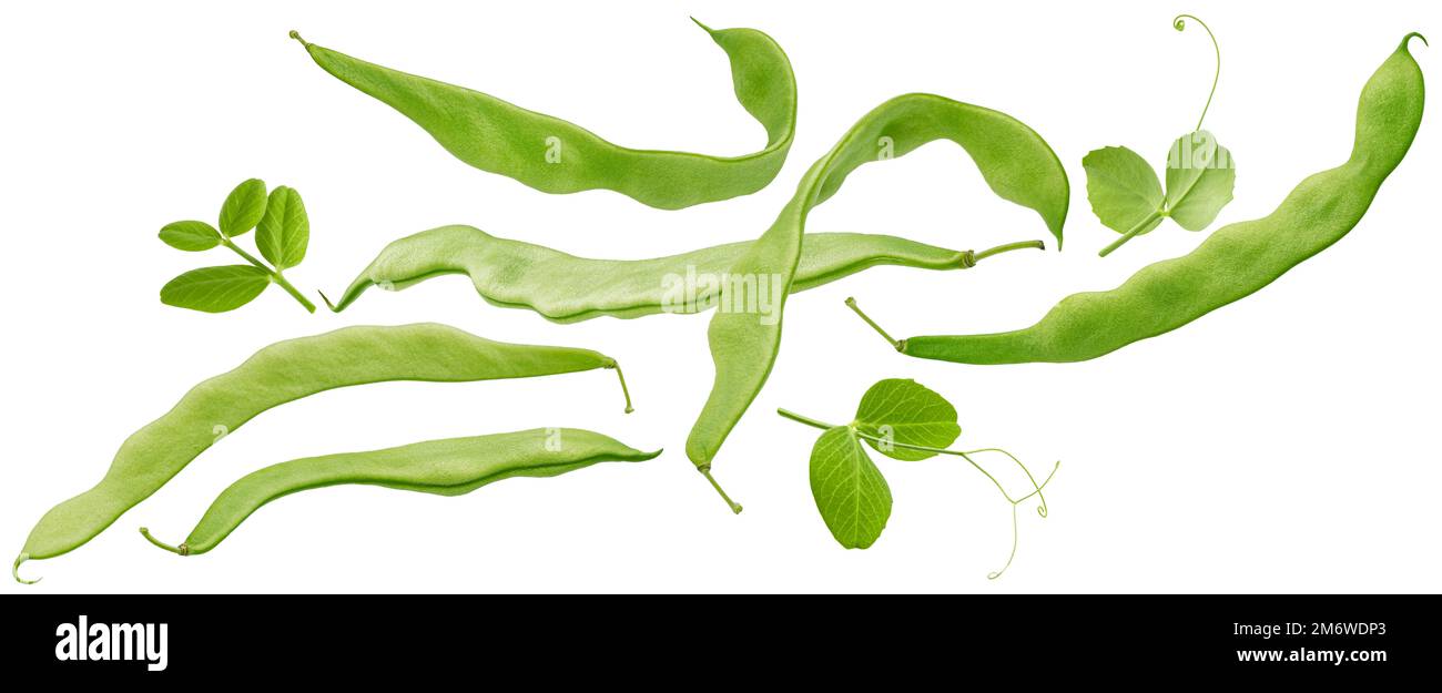 Falling green bean pods isolated on white background Stock Photo - Alamy
