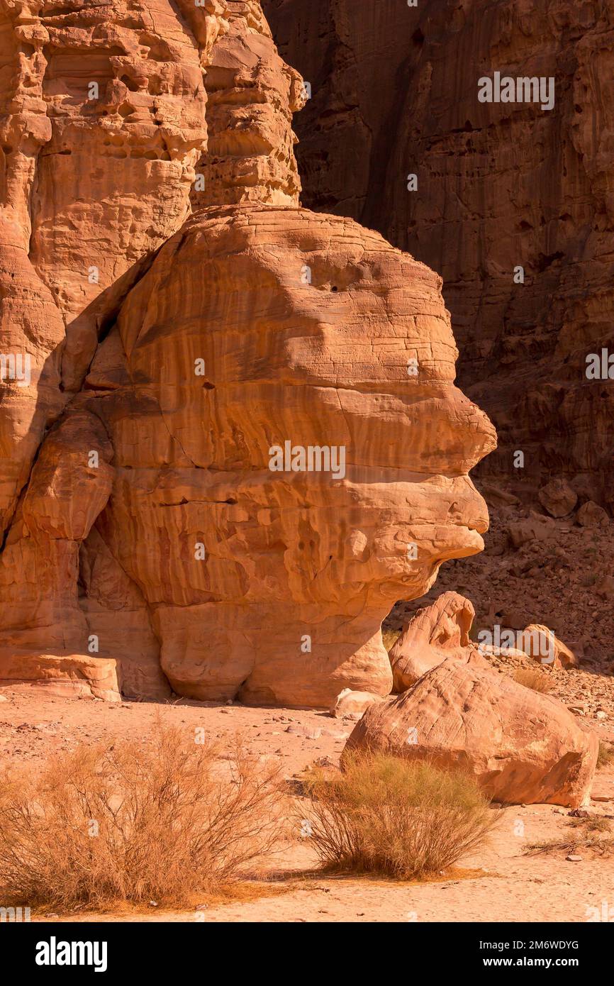 Stone rock head in Wadi Rum, Jordan Stock Photo - Alamy