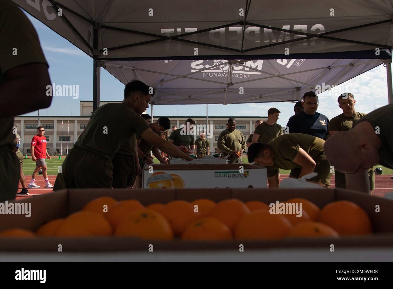 Human performance program coordinators assigned to Marine Corps Air ...