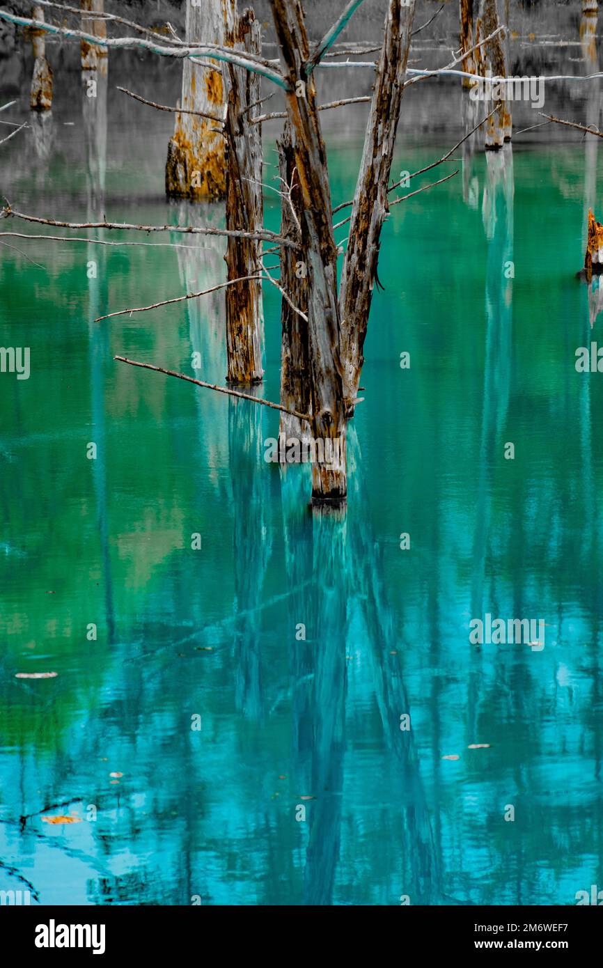 Platinum blue pond (Hokkaido Biei-cho Stock Photo - Alamy