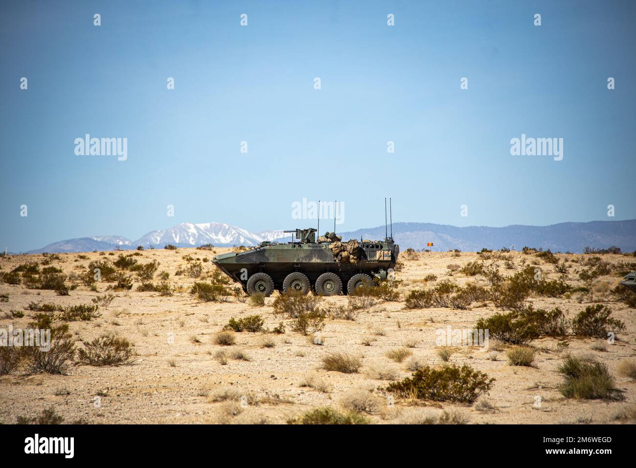 U.S. Marines with Bravo Company, 3d Assault Amphibian Battalion, 1st ...