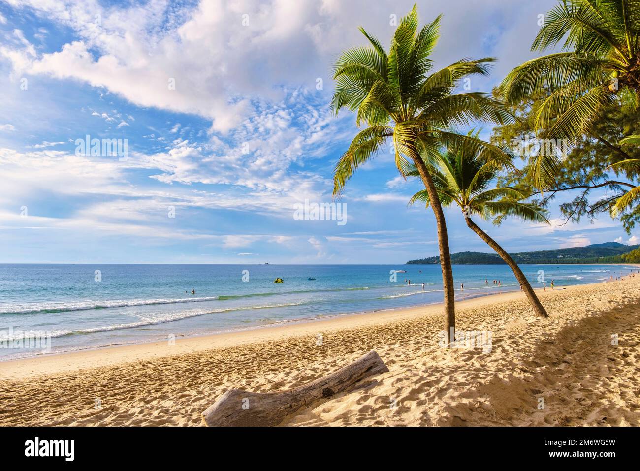 Bang Tao Beach during sunset in Phuket Thailand, palm trees during ...