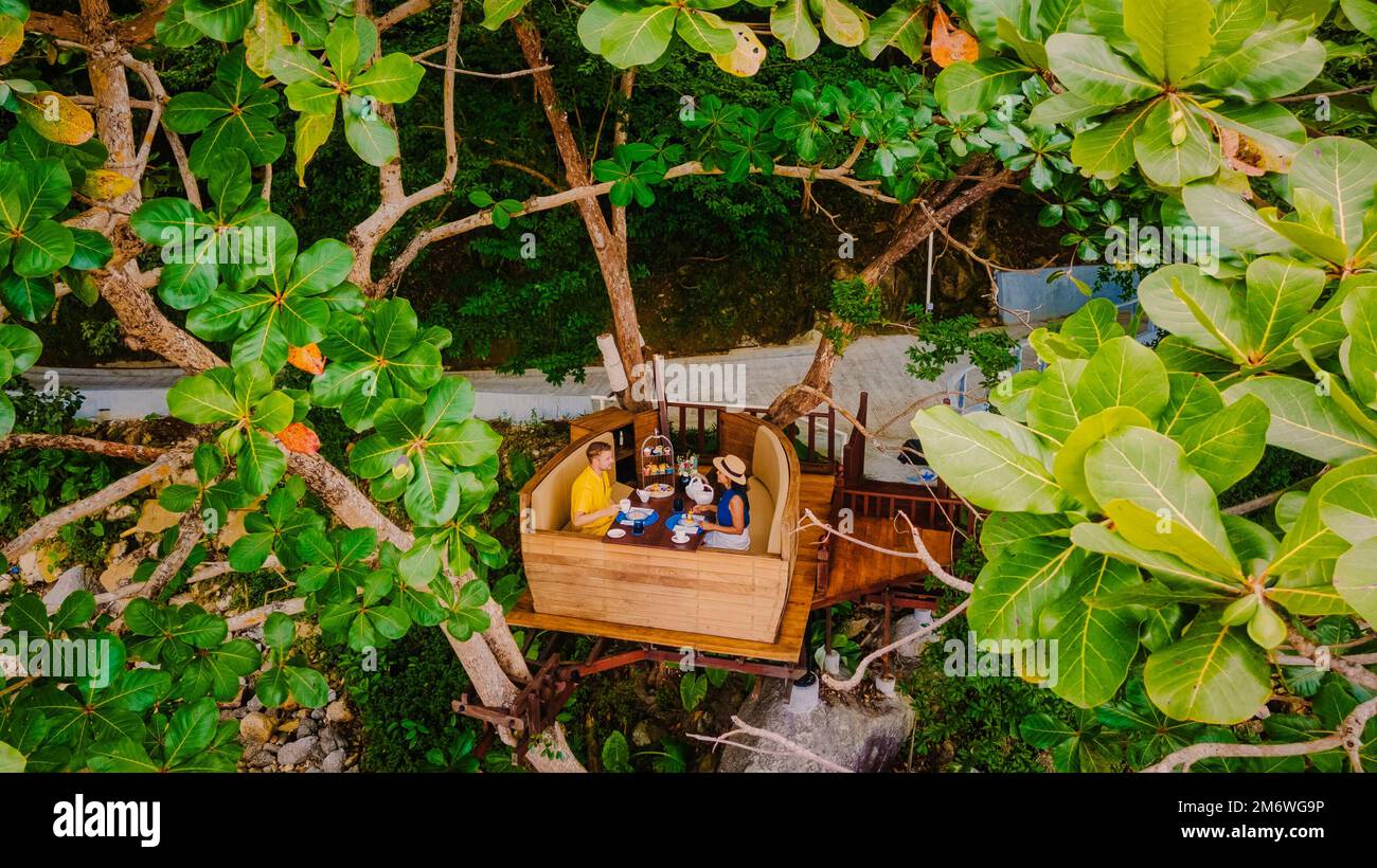 Couple having afternoon tea in a tree, men and women afternoon tea with ...