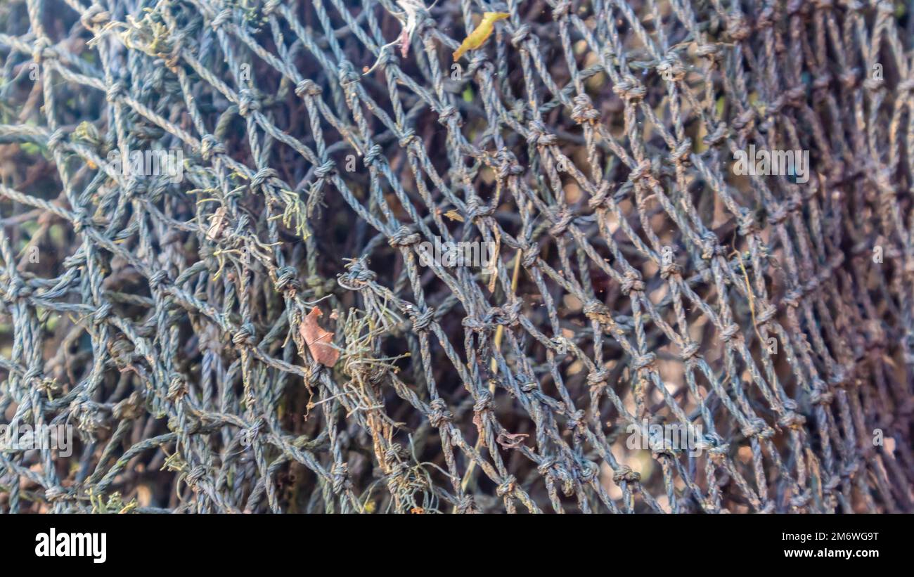 fish net texture as background Stock Photo - Alamy