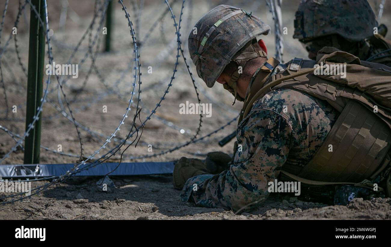 U.S. Marines with 2d Combat Engineer Battalion, 2d Marine Division ...
