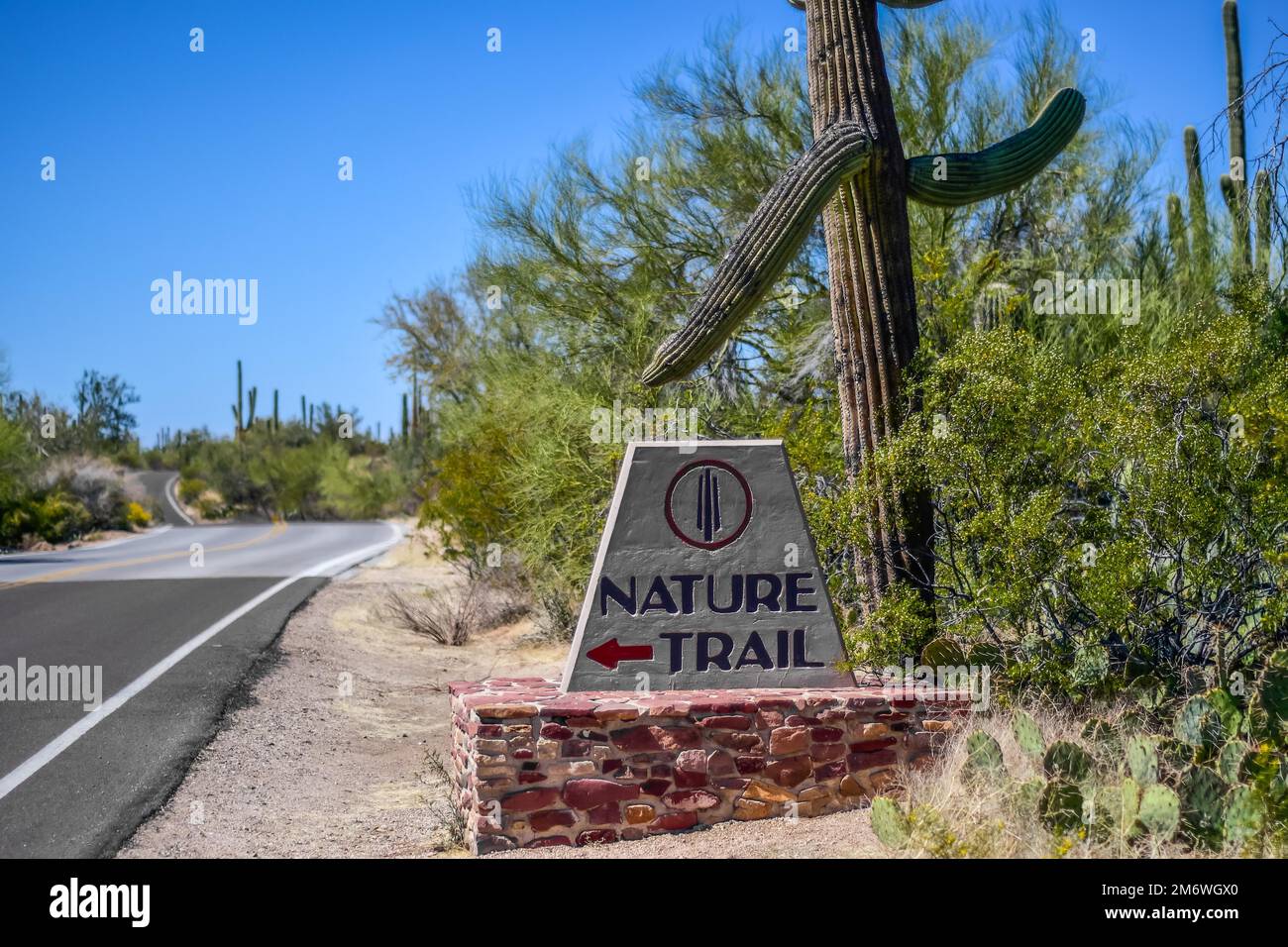 A description board for the trail in Saguaro NP, Arizona Stock Photo ...