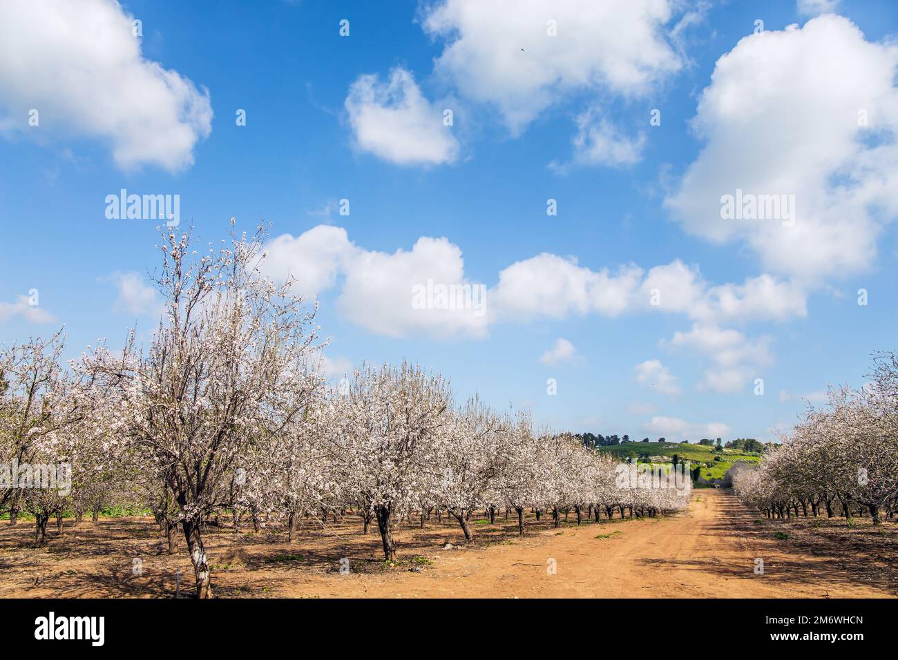 Warm and sunny hi-res stock photography and images - Alamy