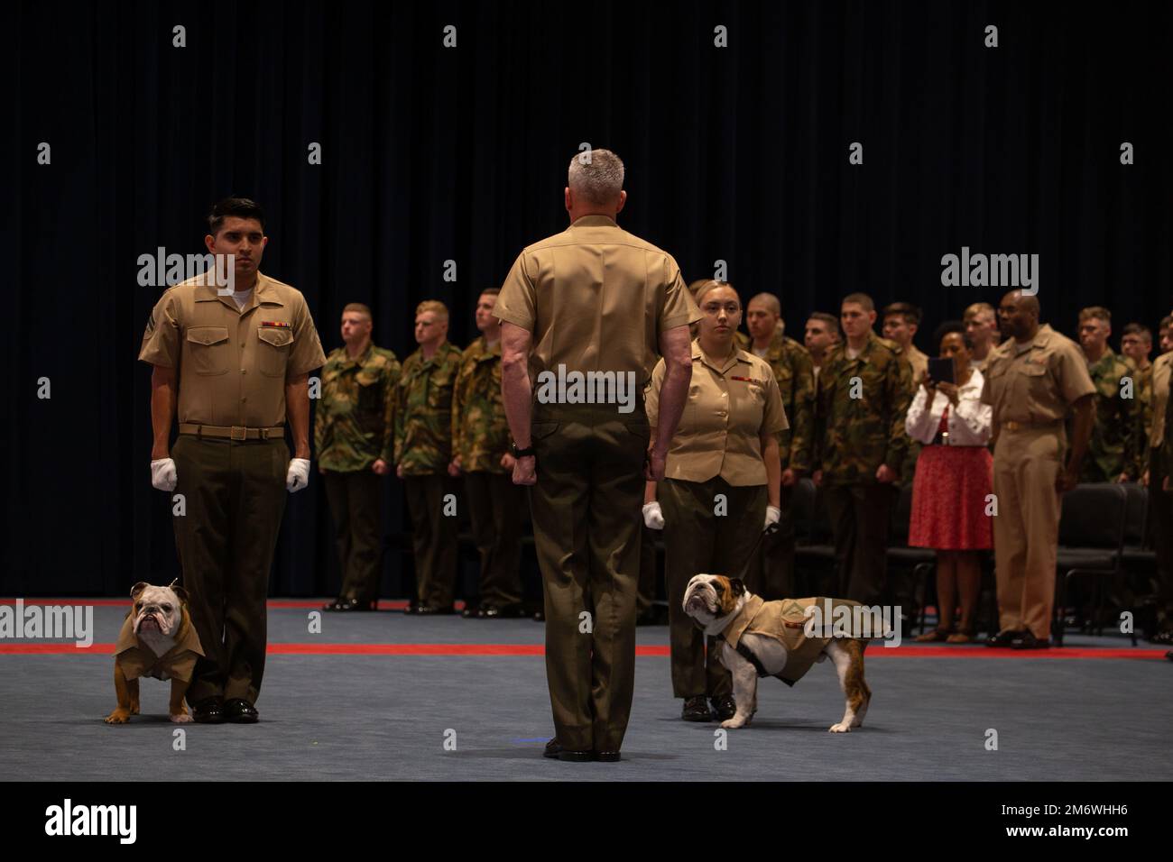 Marines with Marine Barracks Washington, conduct a relief and ...