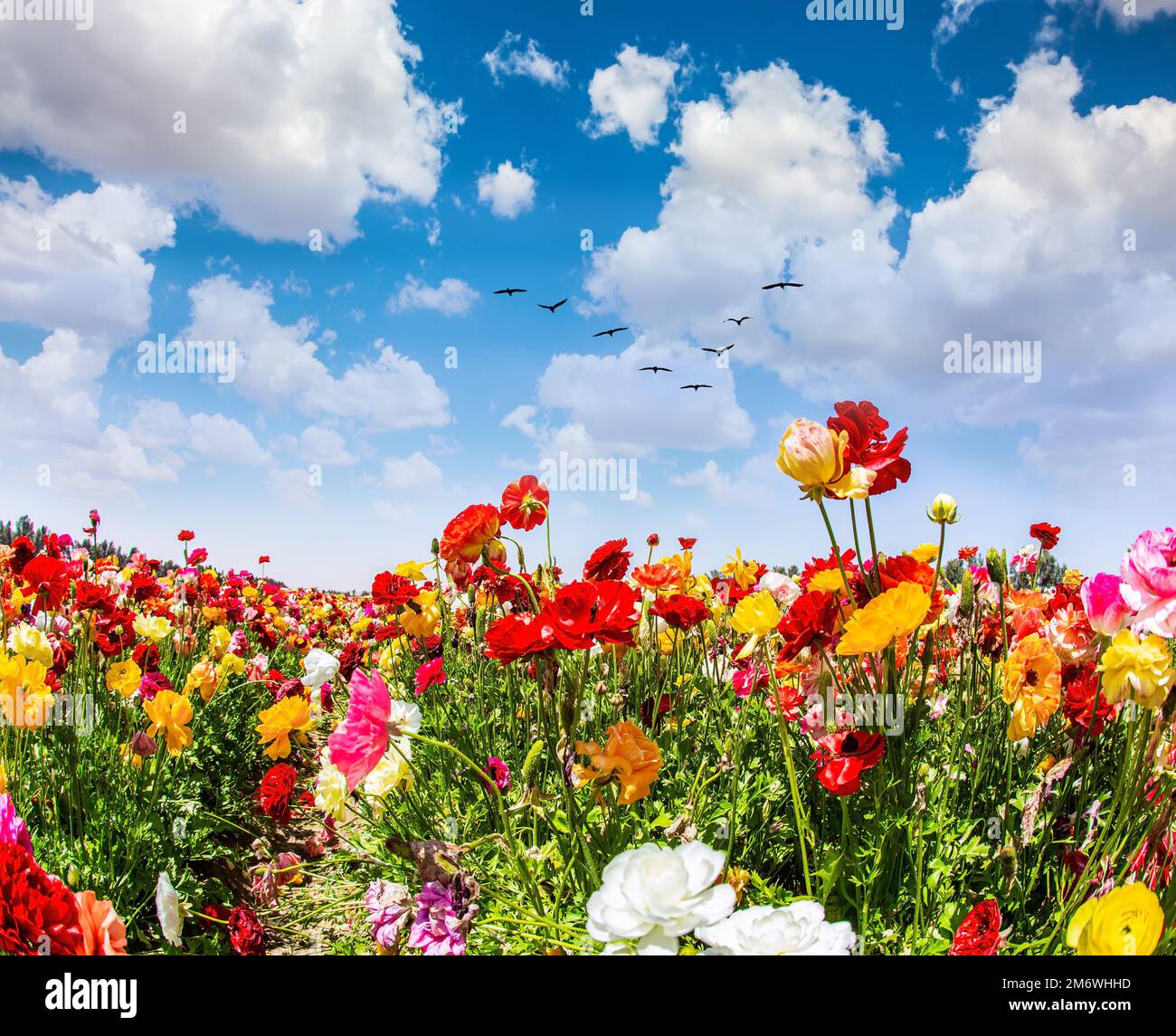 Spring trip hi-res stock photography and images - Alamy