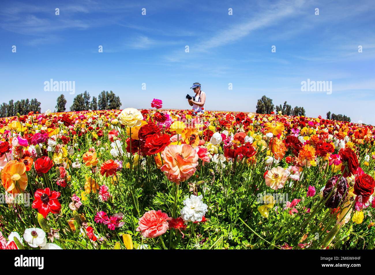 Bright industrial hi-res stock photography and images - Alamy