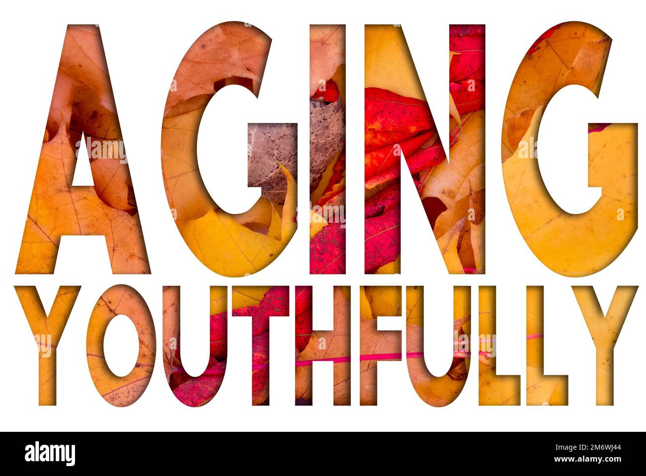 Autumn leaves, objects with Aging Youthfully text. Natural patterns ...