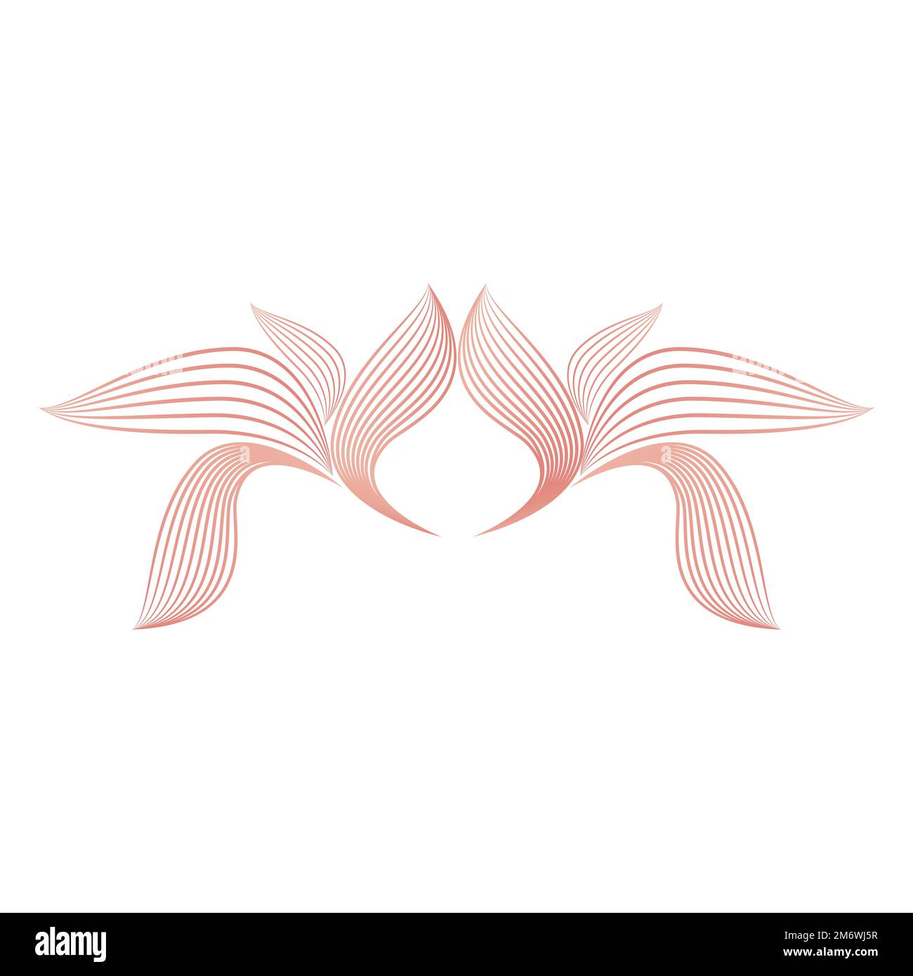 beautiful flower petals, flower line design Stock Photo - Alamy