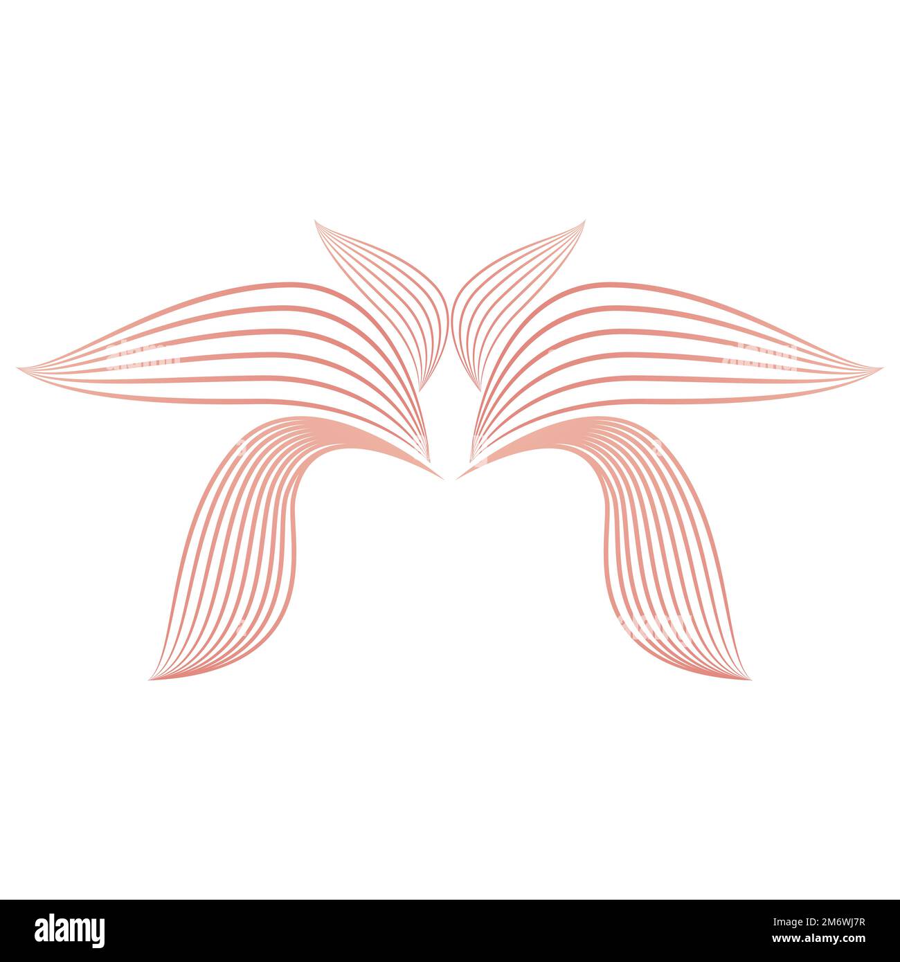 beautiful flower petals, flower line design Stock Photo - Alamy