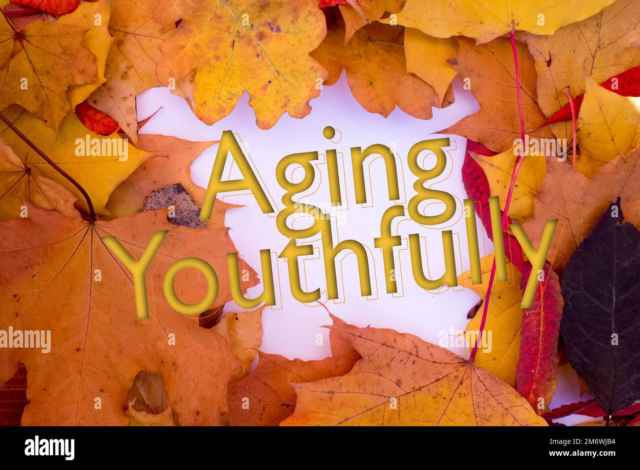 Autumn leaves, objects with Aging Youthfully text. Natural patterns ...