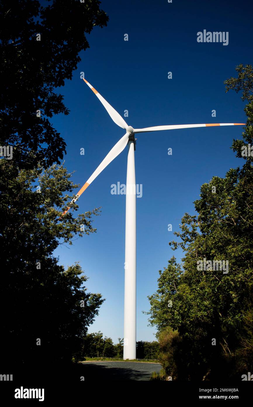 Wind turbine in the forest hi-res stock photography and images - Alamy