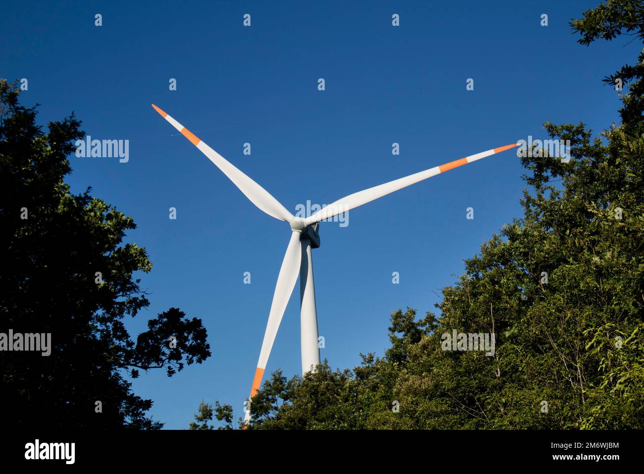 Wind turbine in the forest hi-res stock photography and images - Alamy