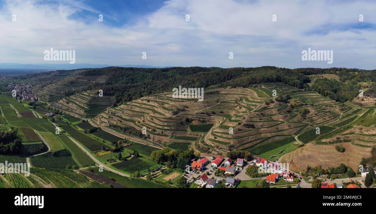 Aerial view of Schelingen am Kaiserstuhl overlooking the vineyards. Schelingen, Vogtsburg am ...