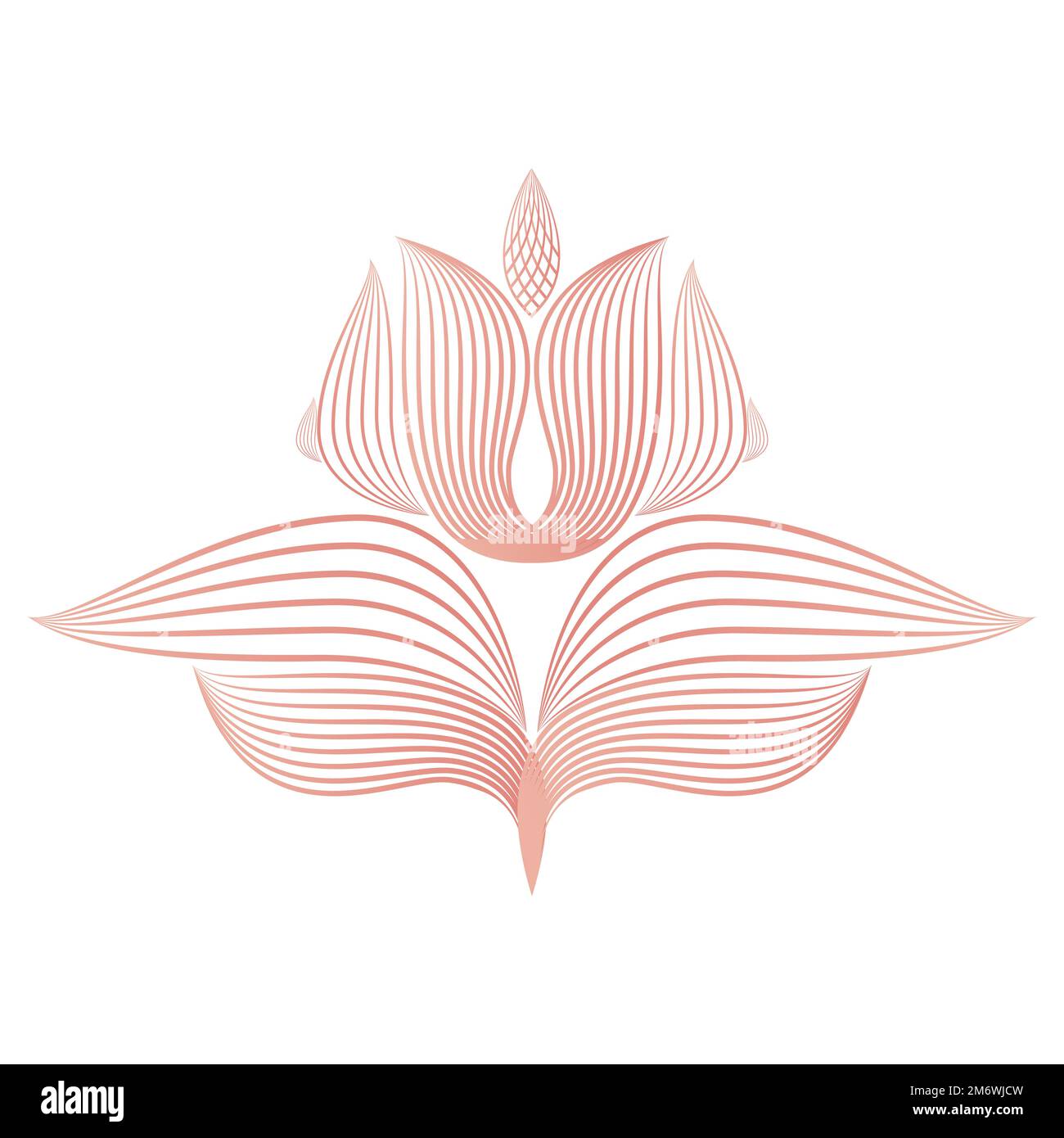 beautiful flower petals, flower line design Stock Photo - Alamy