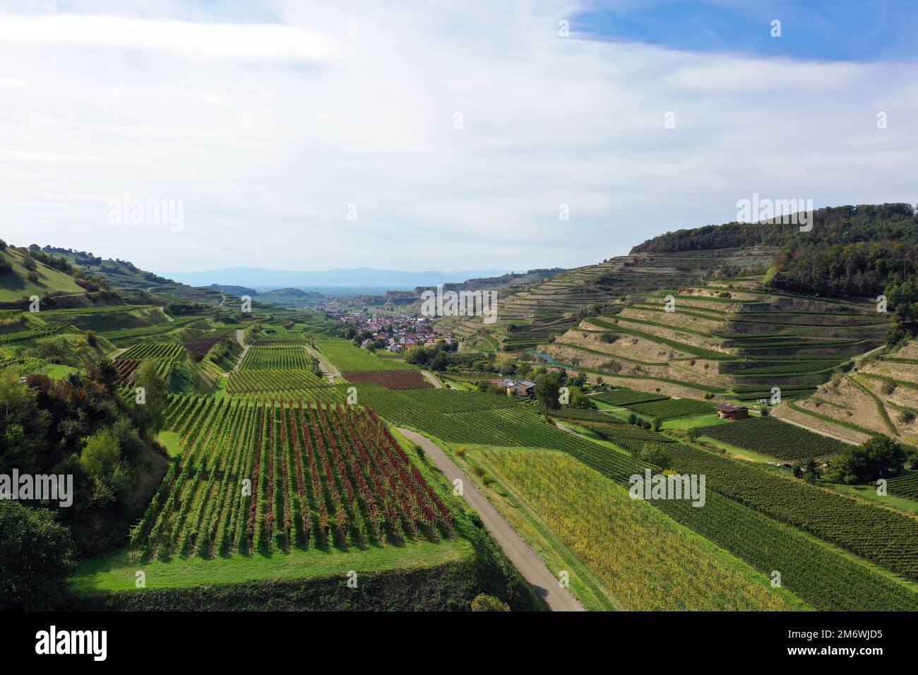 Luftaufnahme von Schelingen am Kaiserstuhl mit Blick auf die Weinberge. Schelingen, Vogtsburg am ...