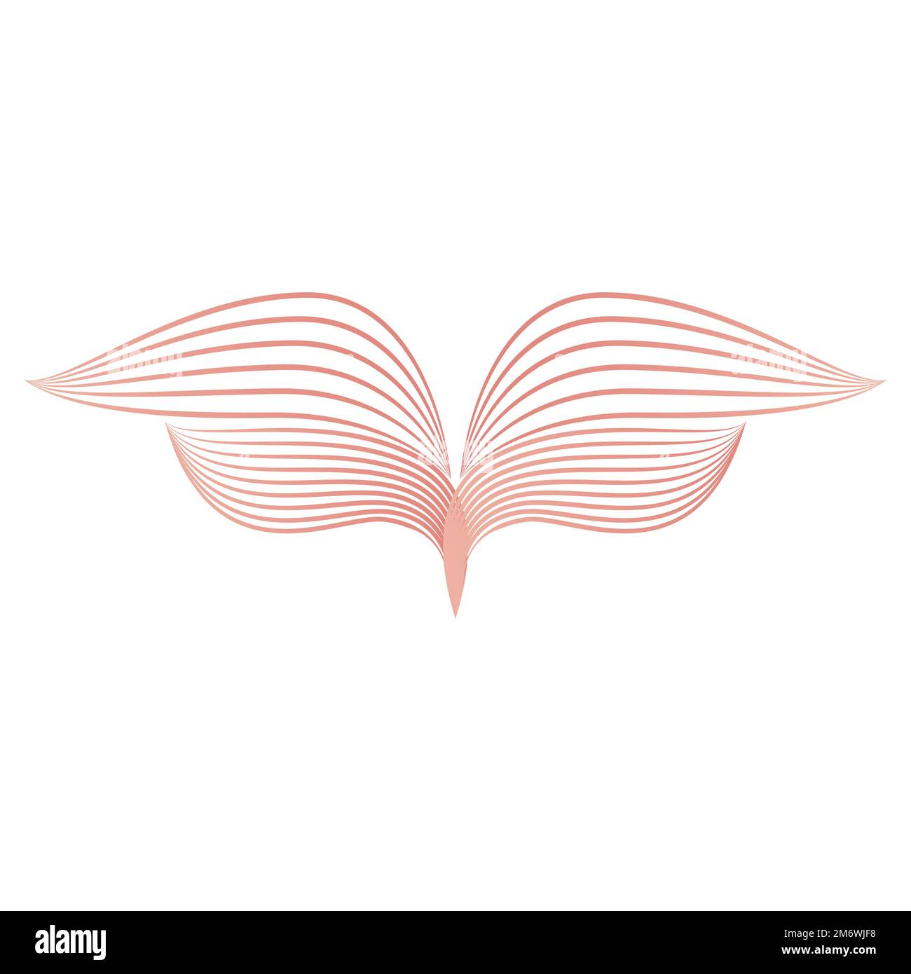 beautiful flower petals, flower line design Stock Photo - Alamy