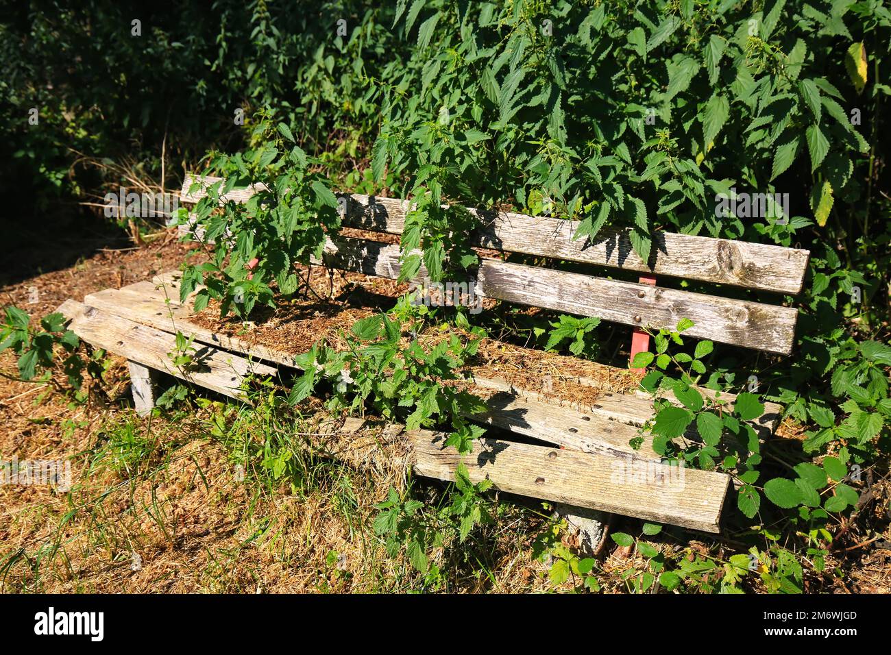 Scruffy, collapsed bench by the side of the road under a tree Stock ...