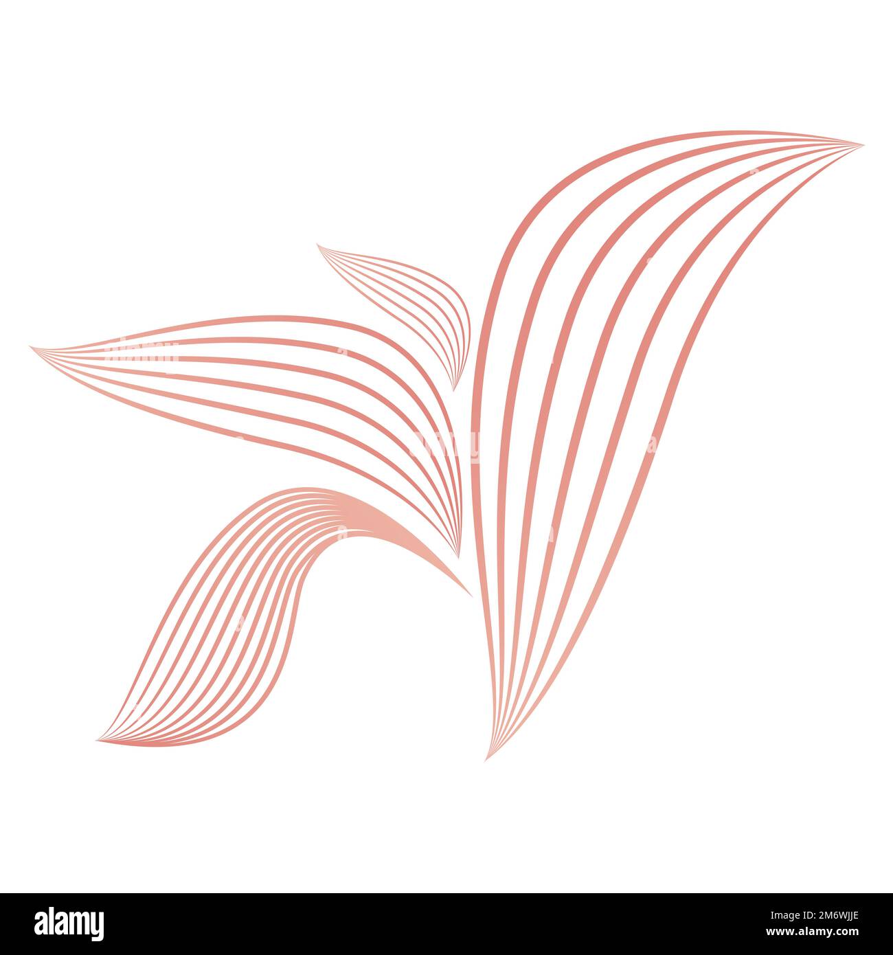 beautiful flower petals, flower line design Stock Photo - Alamy