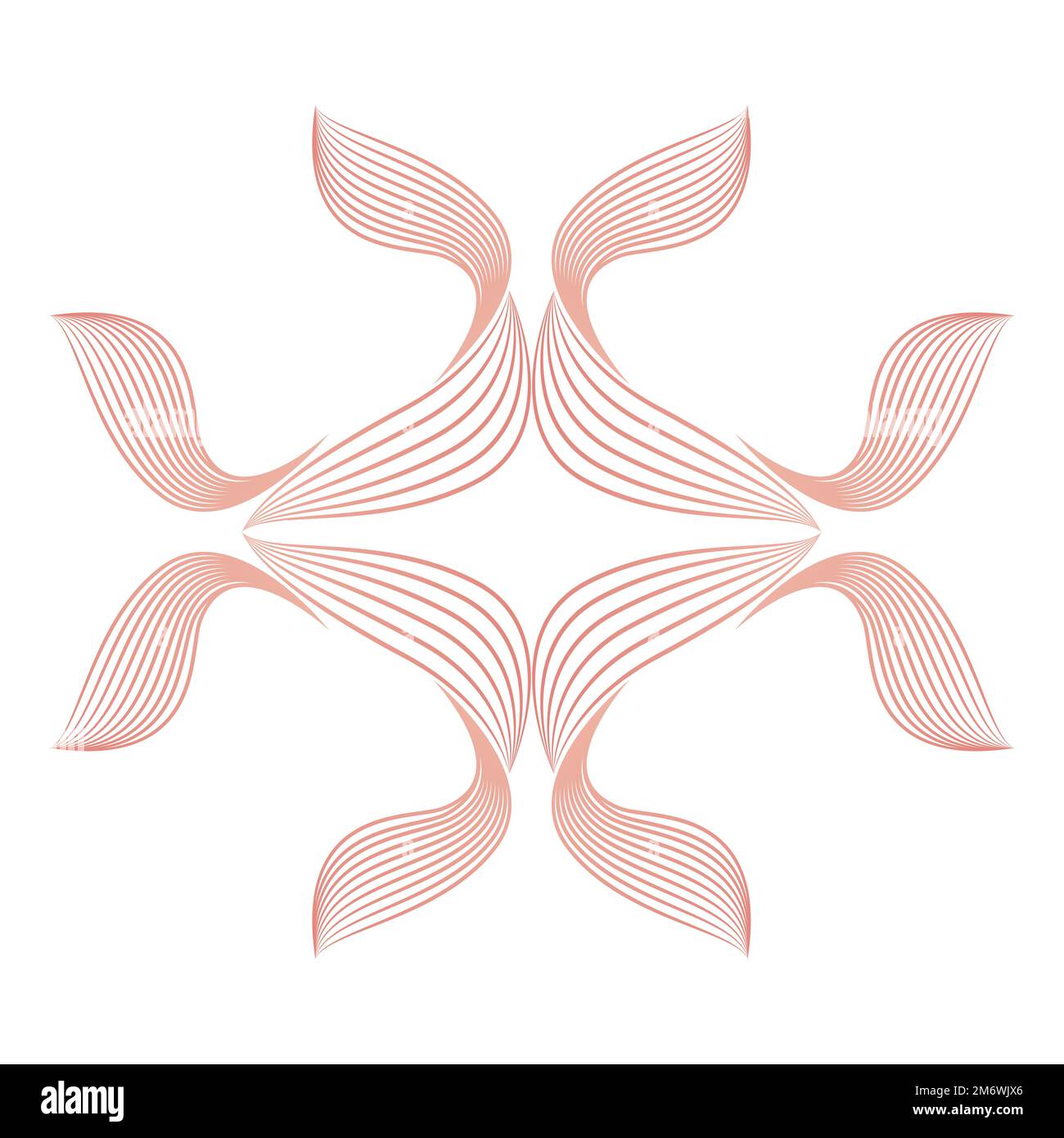 beautiful flower petals, flower line design Stock Photo - Alamy