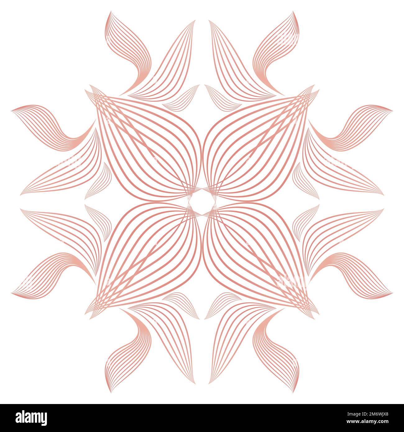 beautiful flower petals, flower line design Stock Photo - Alamy