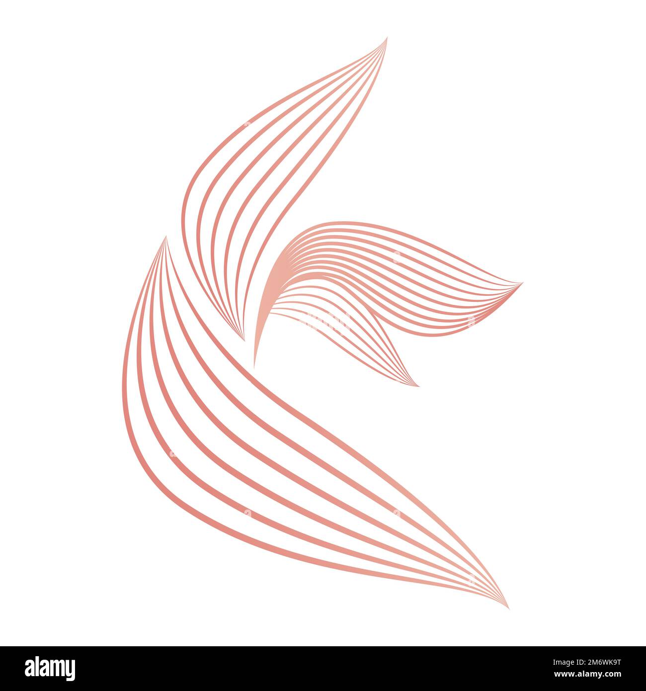 beautiful flower petals, flower line design Stock Photo - Alamy