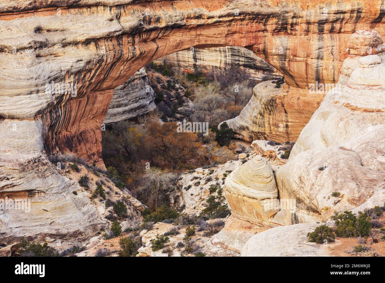 Natural bridge geological formation hi-res stock photography and images ...
