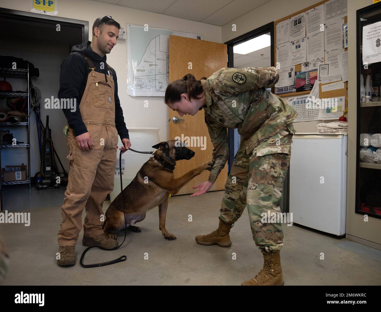 U.S. Army Captain Jenifer Cates, a U.S. Army Alaska veterinarian ...