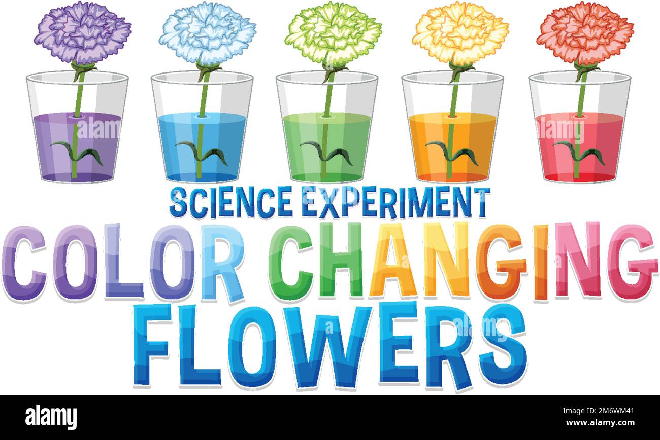 Color changing flowers science experiment illustration Stock Vector ... Color changing flowers science experiment illustration Stock Vector ...
