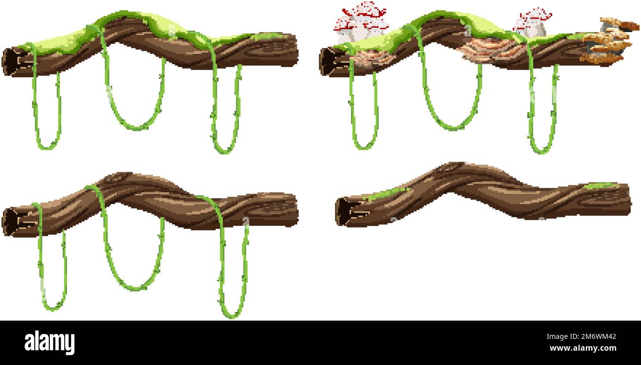 Set of tree branches isolated illustration Stock Vector Image & Art - Alamy