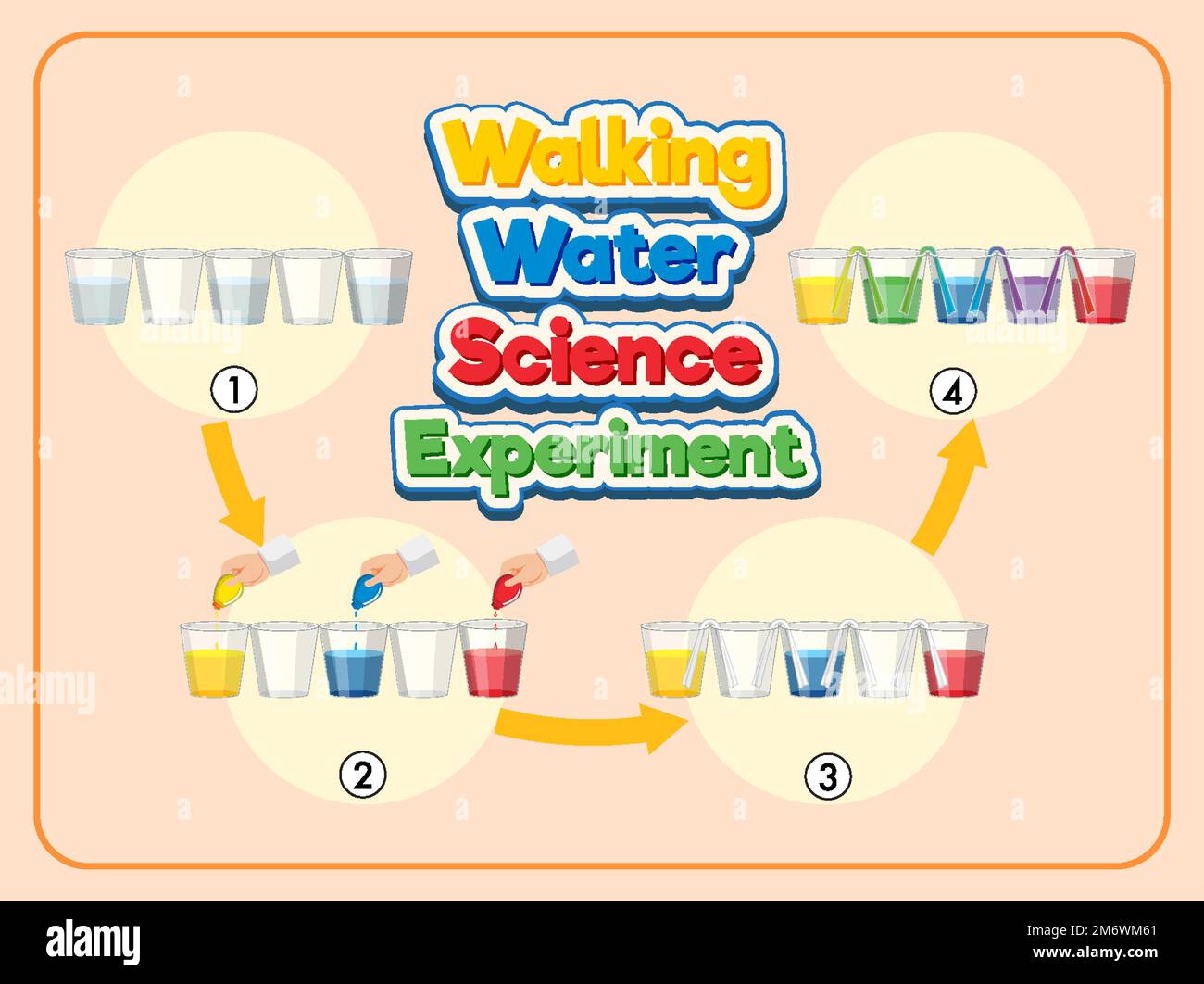 Walking water science experiment illustration Stock Vector Image & Art ...