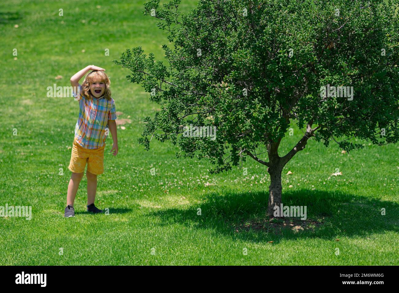 Growth kids concept. Child grow up near little tree at the summer park ...