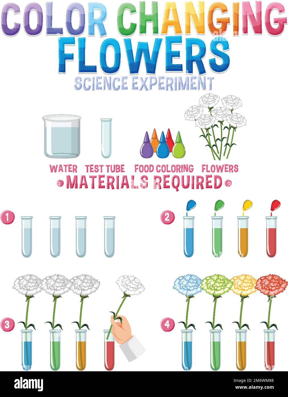 Color Changing Carnations Science Projects