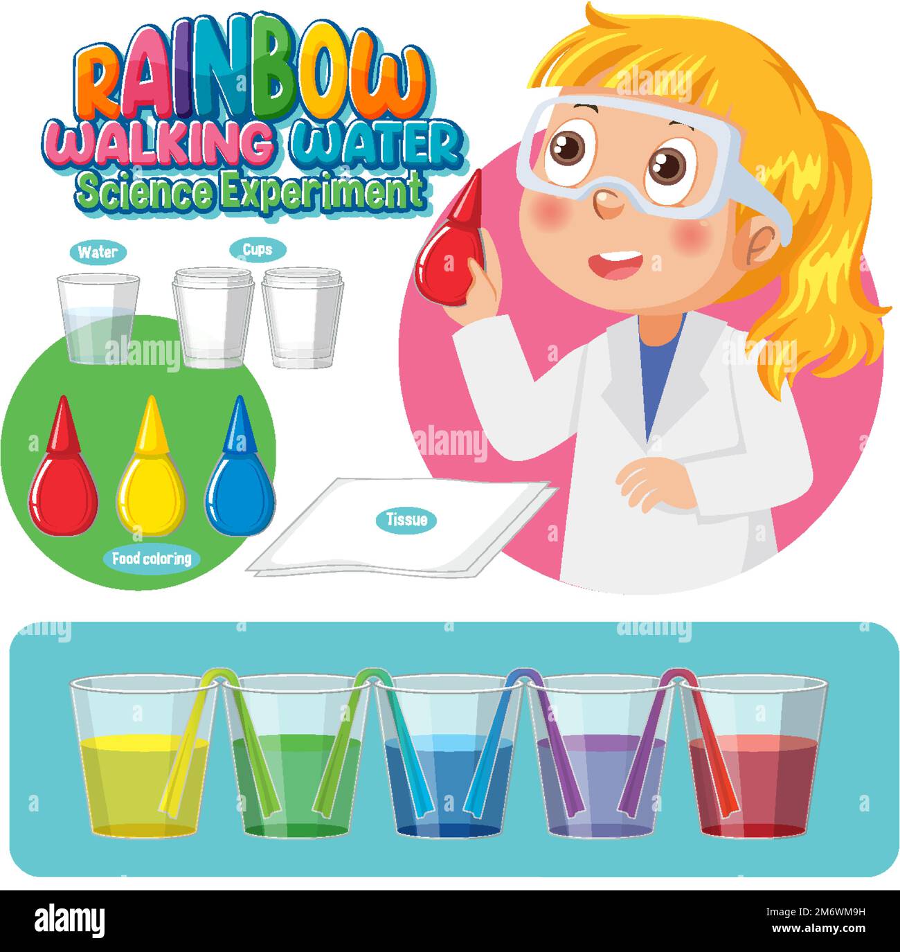 Rainbow walking water science experiment illustration Stock Vector ...