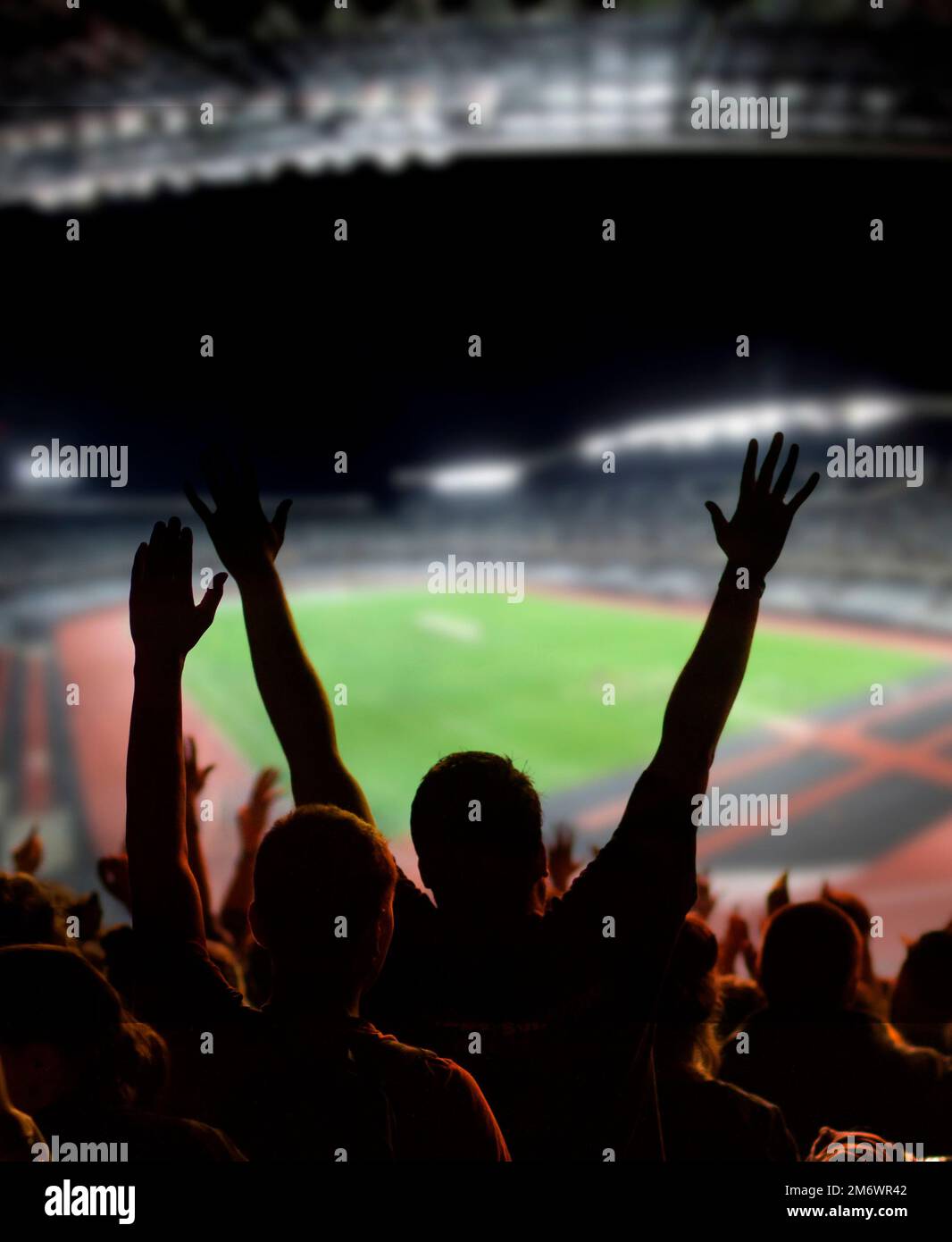 Qatar stadium fans hi-res stock photography and images - Alamy