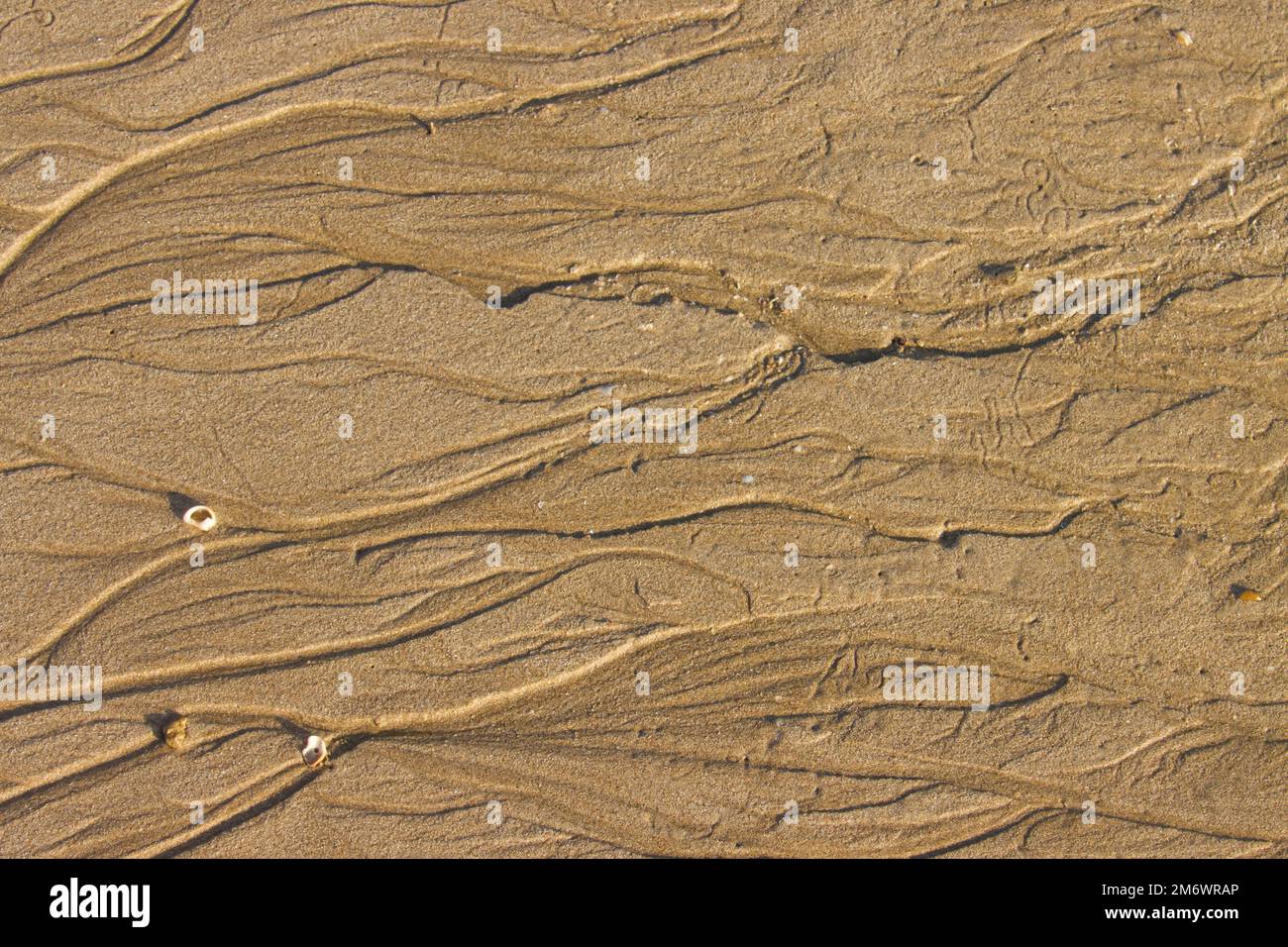 Wet sand texture background Stock Photo - Alamy