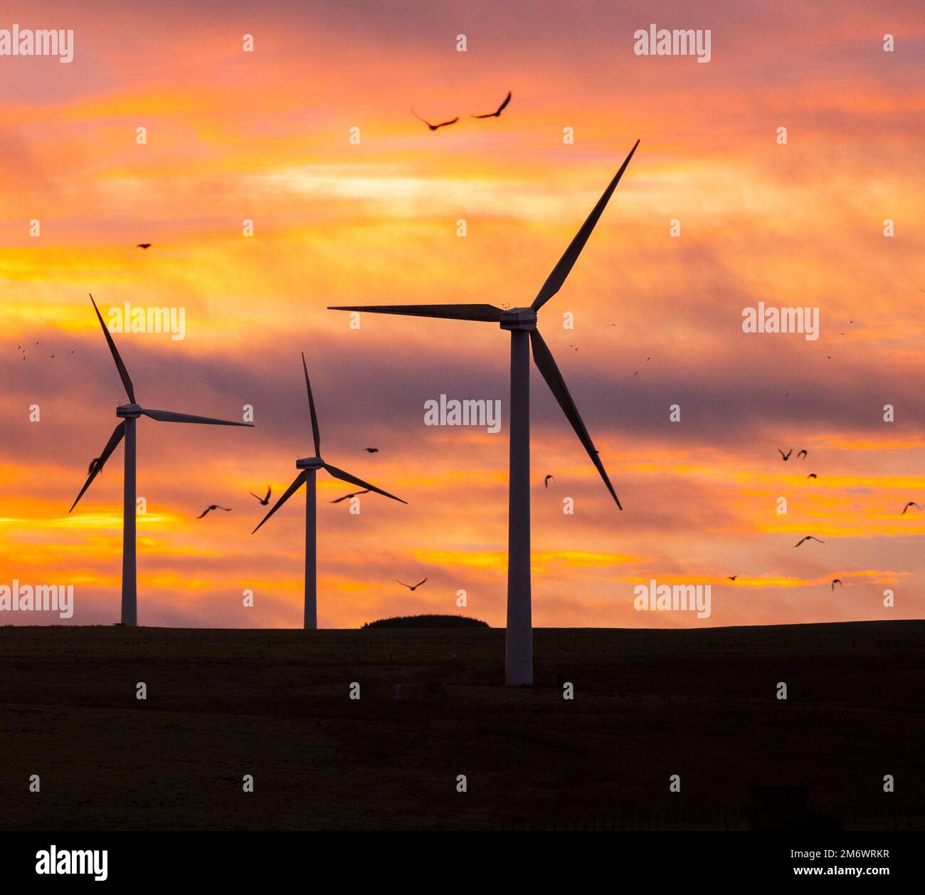 5th January 2022. UK weather, Scotland. Sutra East wind farm, Scottish ...