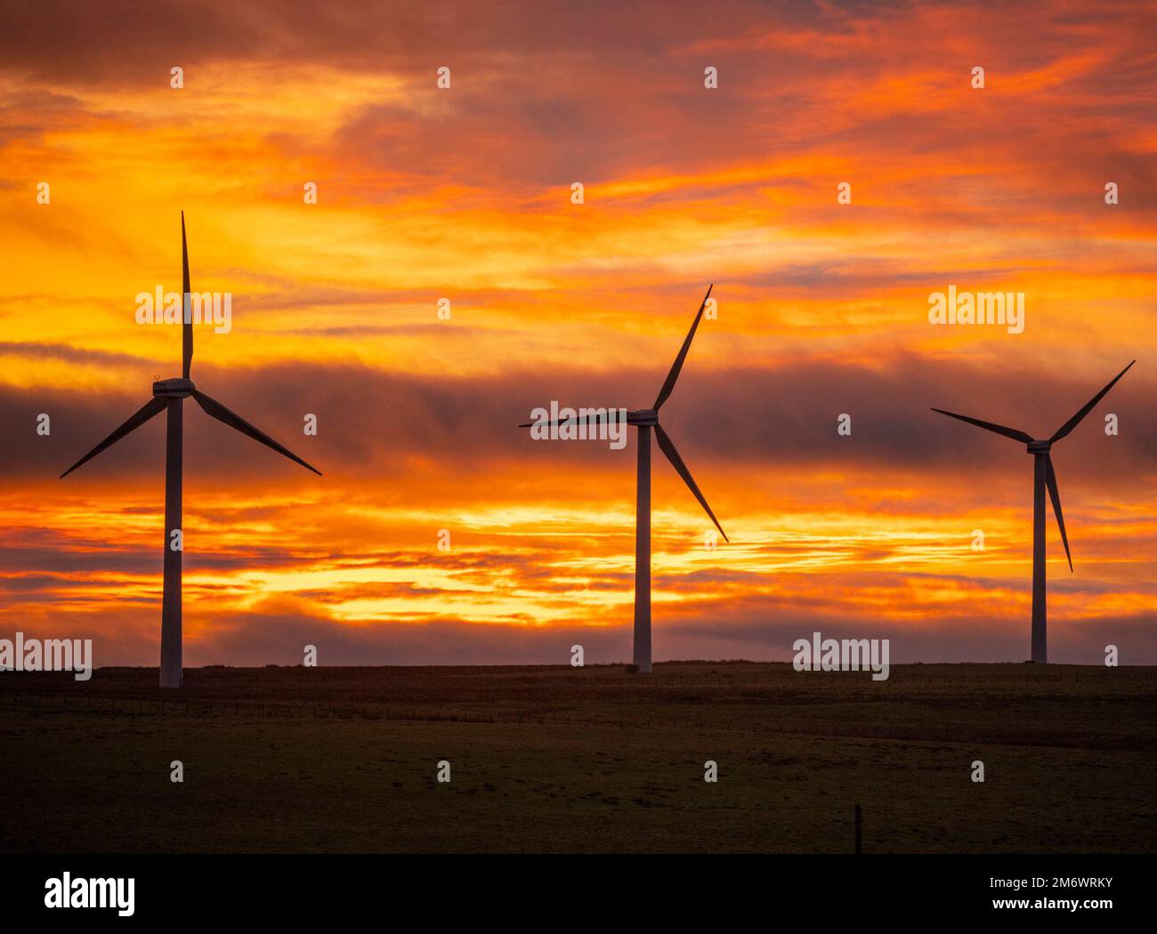 5th January 2022. UK weather, Scotland. Sutra East wind farm, Scottish ...