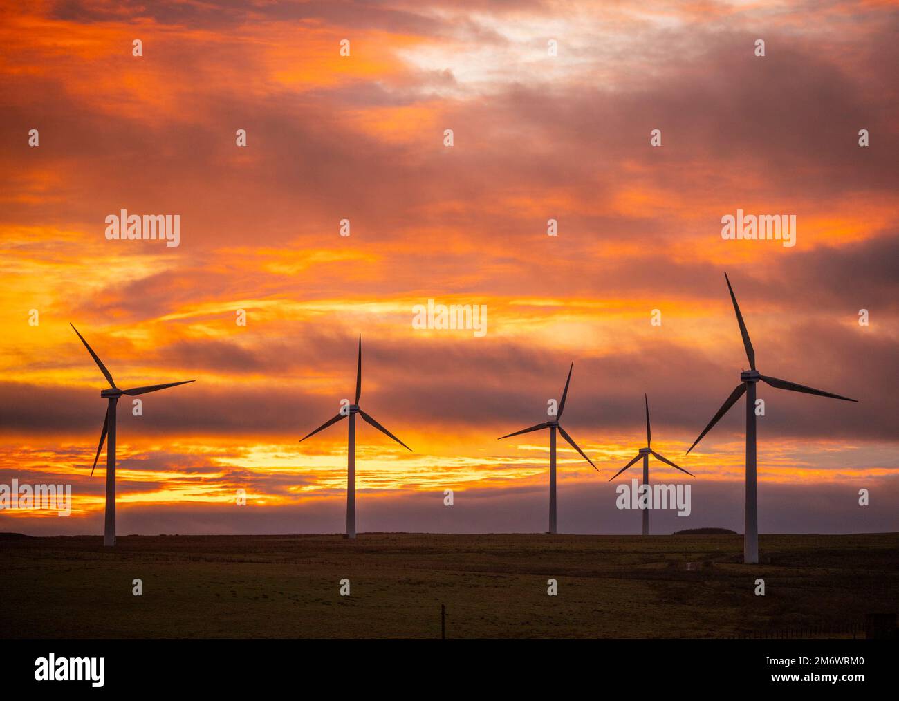5th January 2022. UK weather, Scotland. Sutra East wind farm, Scottish Borders. A dawn golden ...