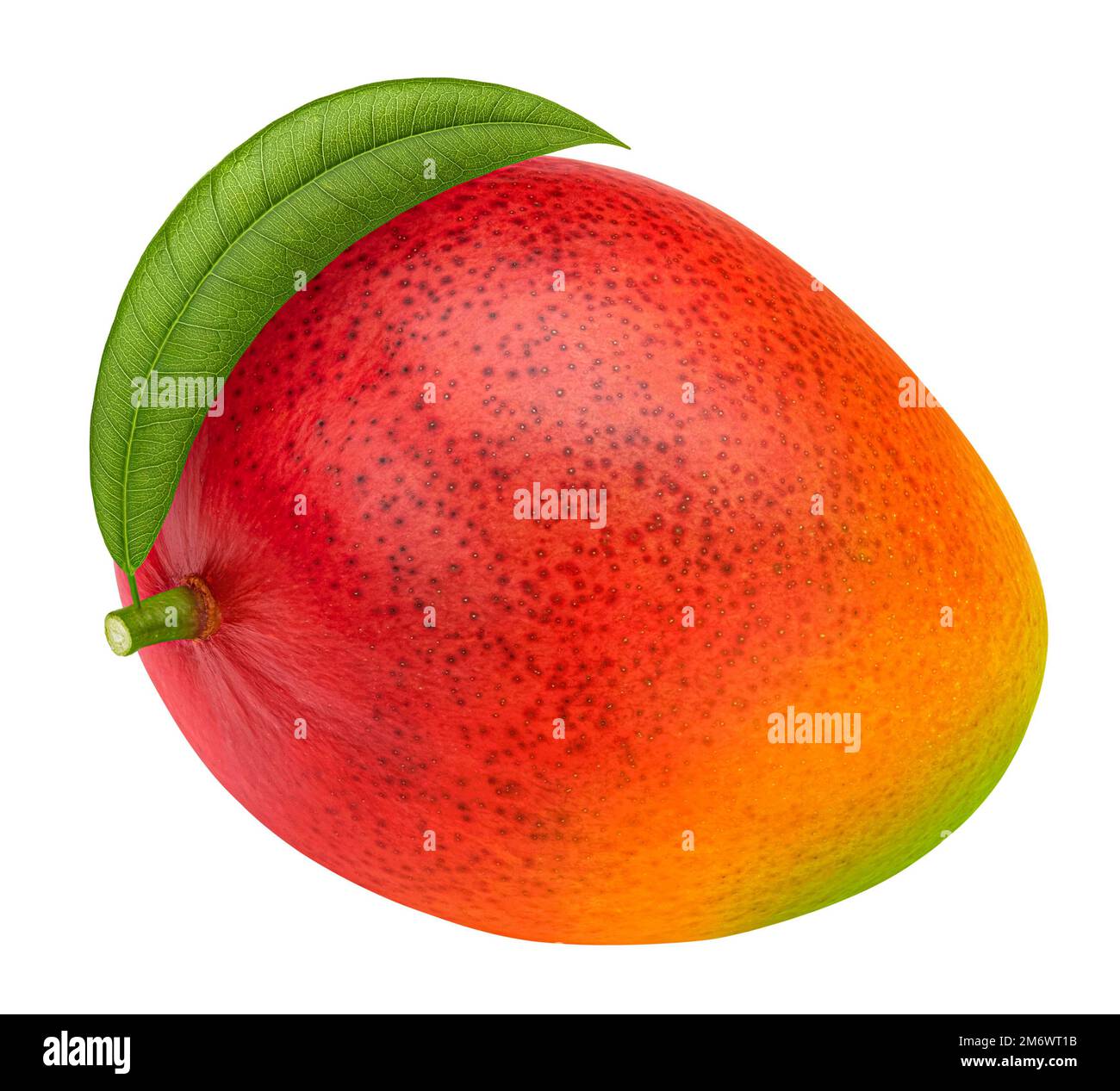 One whole sweet red Cut Out Stock Images & Pictures - Alamy