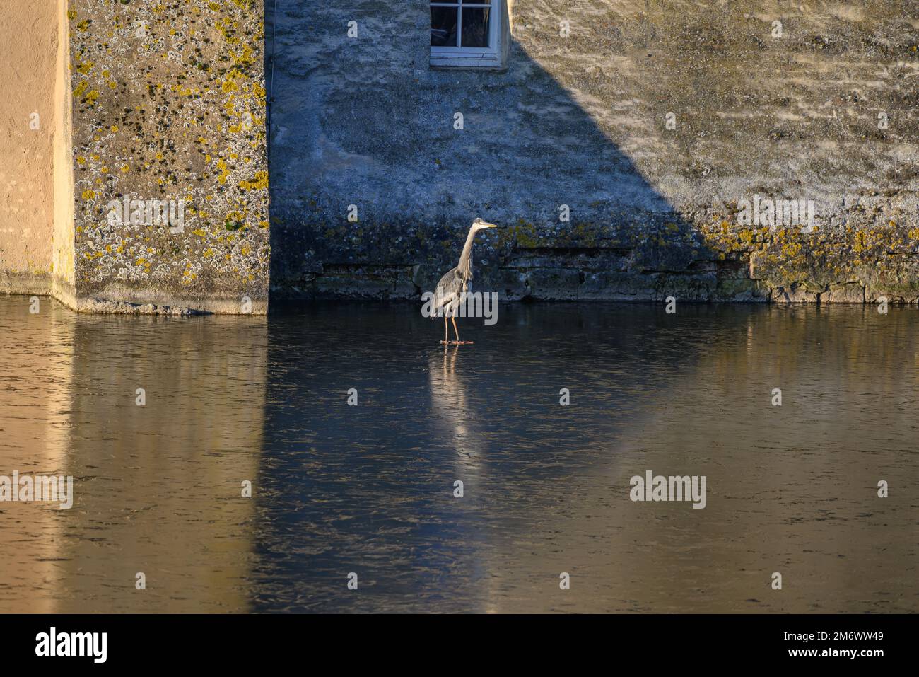 Autumn in westphalia Stock Photo - Alamy