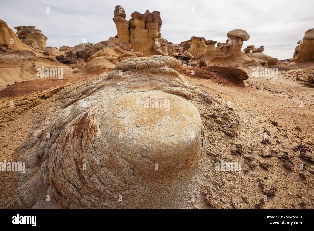 Bisti badlands wildnis de na zin hi-res stock photography and images ...