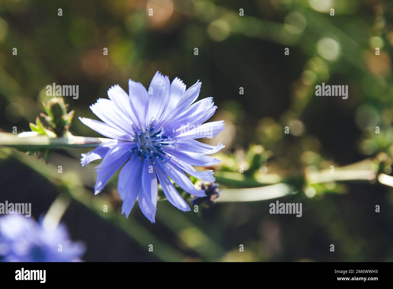 Glen innes road hi-res stock photography and images - Alamy