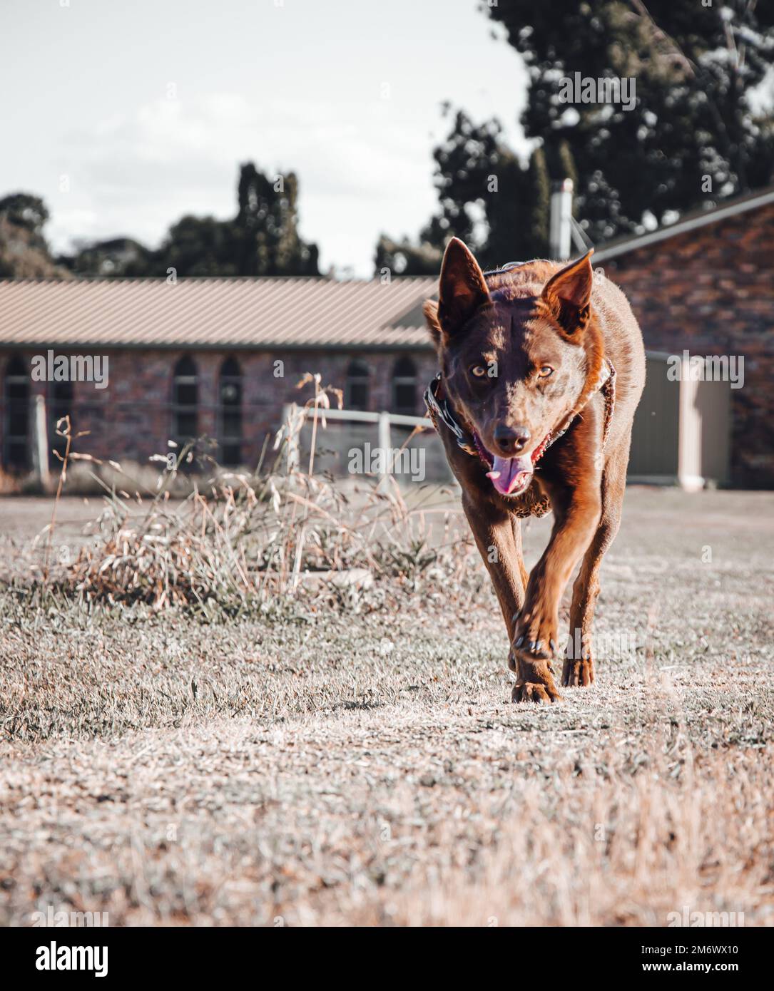 Glen innes road hi-res stock photography and images - Alamy