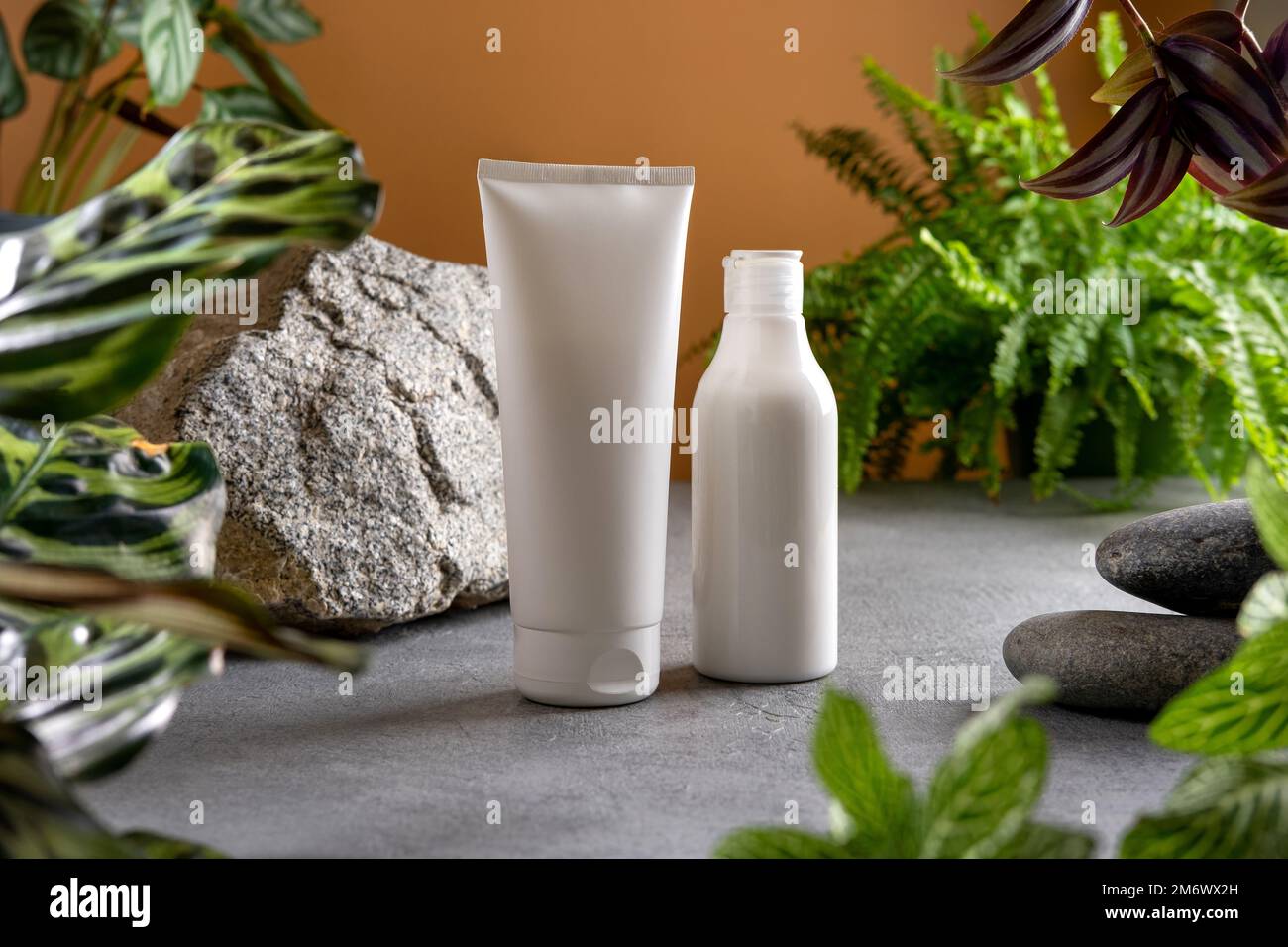 Ð¡osmetic product branding with tropical leaves on tan color background ...