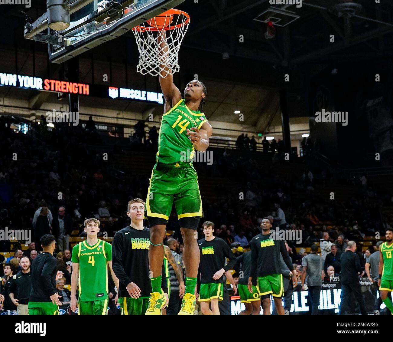 Oregon ducks mens basketball hi-res stock photography and images - Alamy